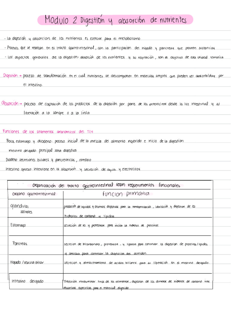 Módulo 2 N.C | PDF | Digestión | Bilis