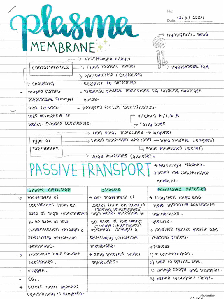 Biology f4 Ch3 - Plasma Membrane | PDF