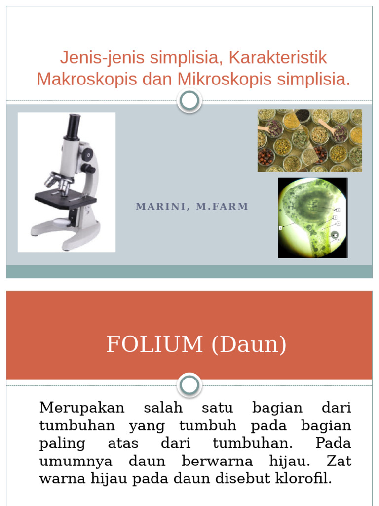 Jenis-Jenis Simplisia, Karakteristik Makroskopis Dan Mikroskopis ...