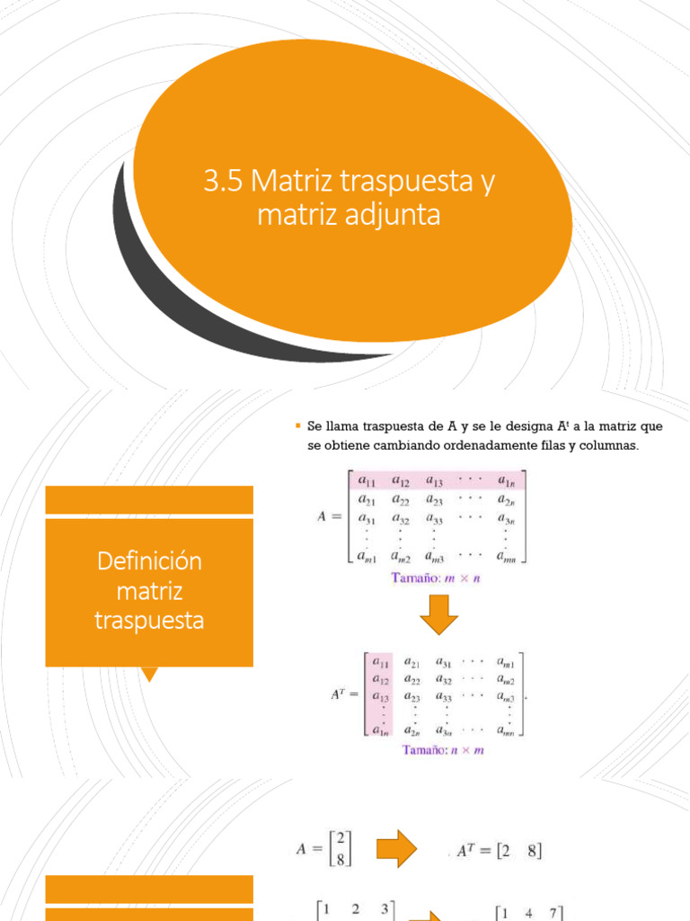 Matriz Transpuesta y Matriz Adjunta | PDF