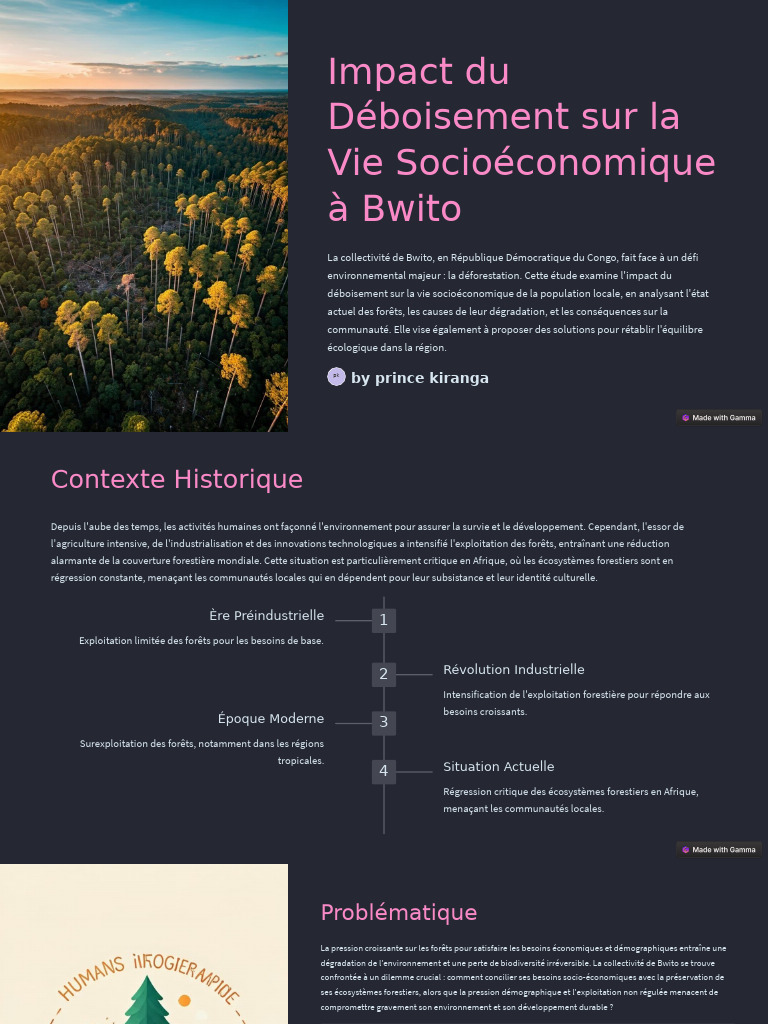 Impact Du Deboisement Sur La Vie Socioeconomique A Bwito | PDF ...