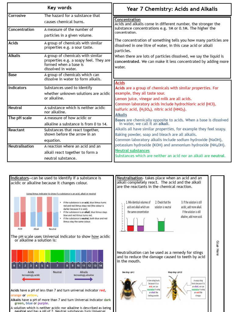 Year 7 Acids and Alkalis Overview | PDF | Acid | Chemistry
