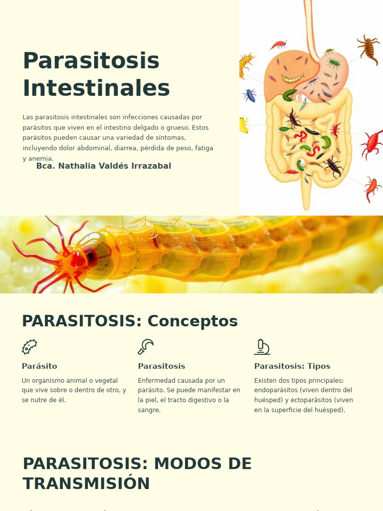 Parasitosis-Intestinales | PDF | Enfermedades y trastornos ...
