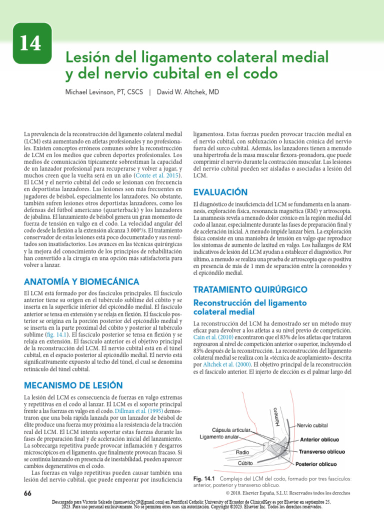 Lesión Del Ligamento Colateral Medial y Nervio Cubital en El Codo | PDF ...