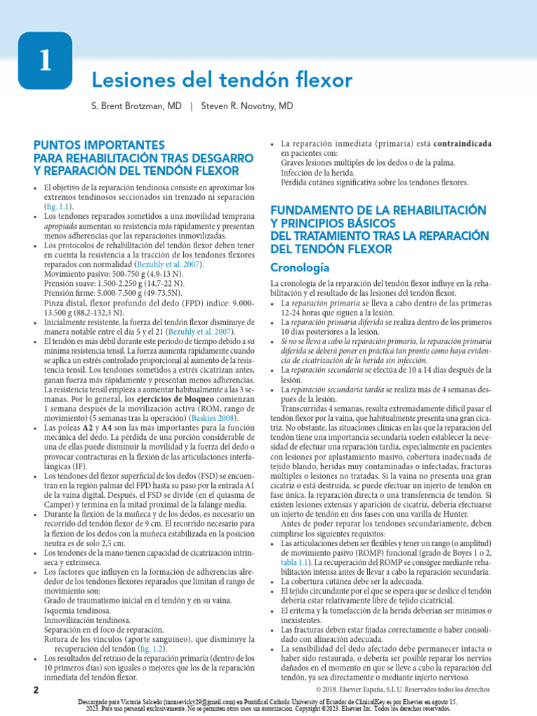 Lesiones Del Tendon Flexor | PDF | Tendón | Mano