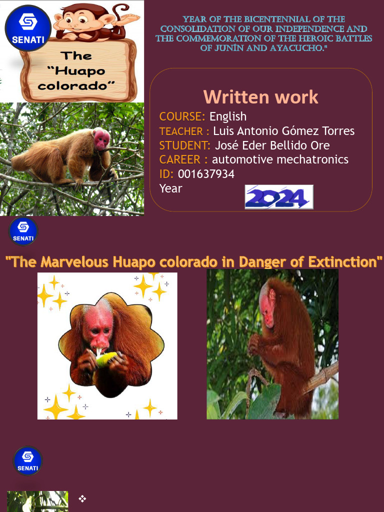 Huapo Colorado | PDF | Conservation Biology | Amazon Rainforest