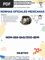 Nom 033 200 1995 NORMA Oficial Mexicana NOM-033-ZOO-1995, Sacrificio ...