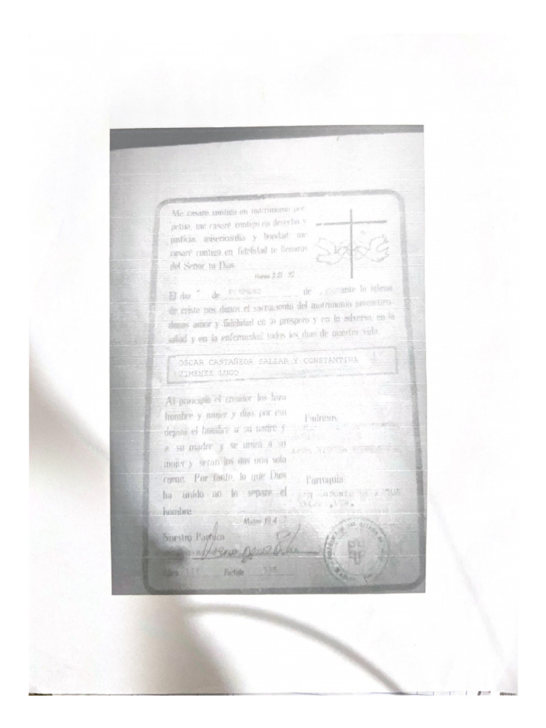 Documentos Escaneados | PDF