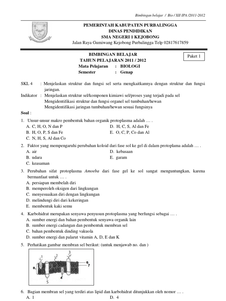 Bank Soal Biologi Kelas XI | PDF