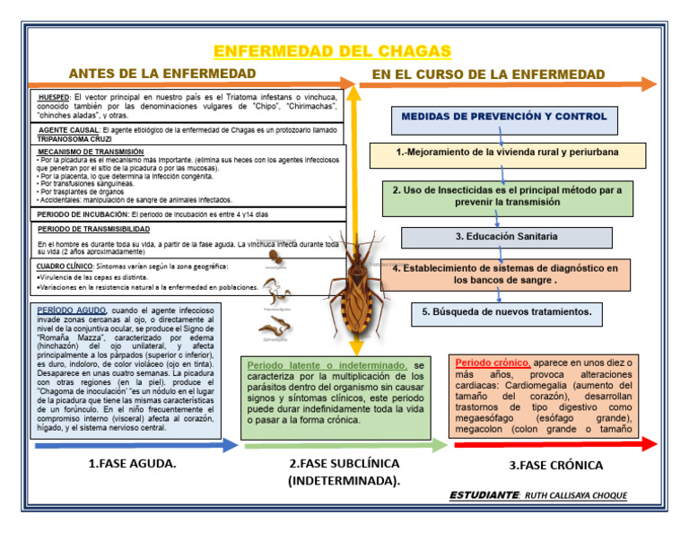 Chagoma de Inoculación y Periodo de Incubación | PDF | Ciencias de la ...