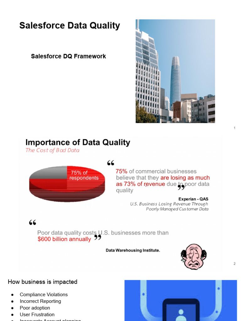 Salesforce Data Quality Standards | PDF