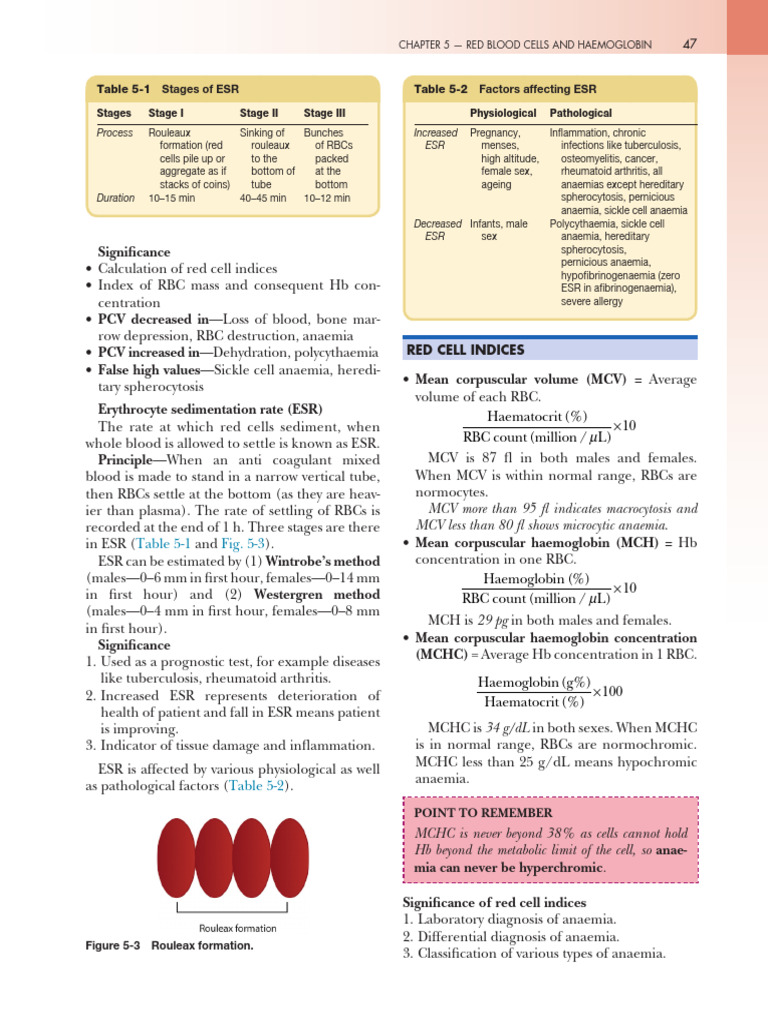 Fundamentals of Medical Physiology Harminder - Unlocked - Split - 14 | PDF | Anemia | Bone Marrow