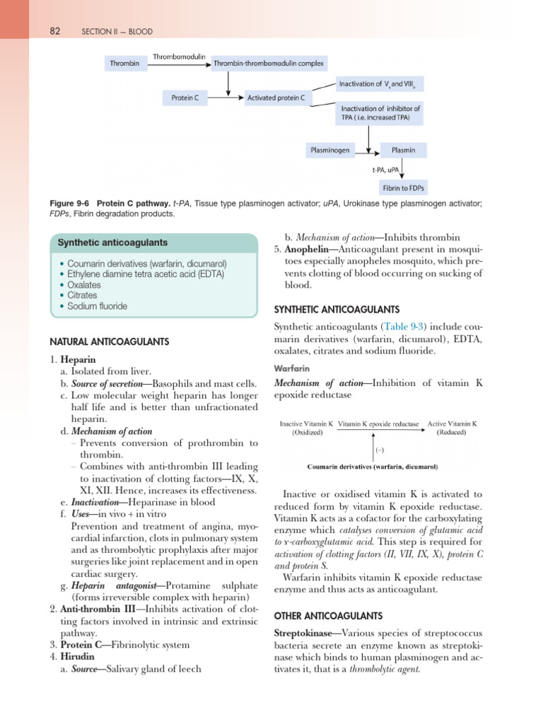Fundamentals of Medical Physiology Harminder - Unlocked - Split - 21 | PDF | Coagulation | Bleeding