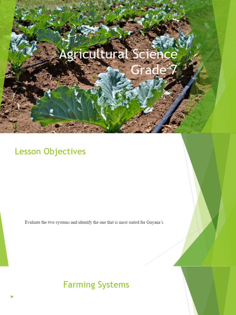 Farming Systems in Guyana Explained | PDF | Agriculture | Crop Rotation