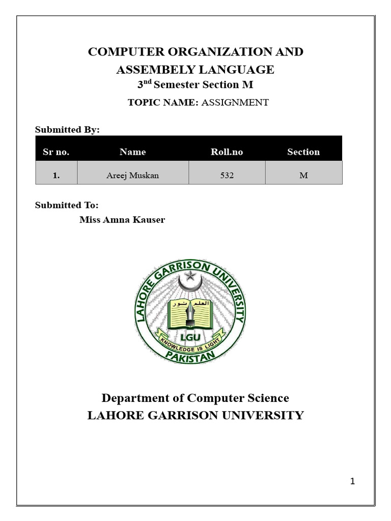 Computer Organization Assignment M | PDF