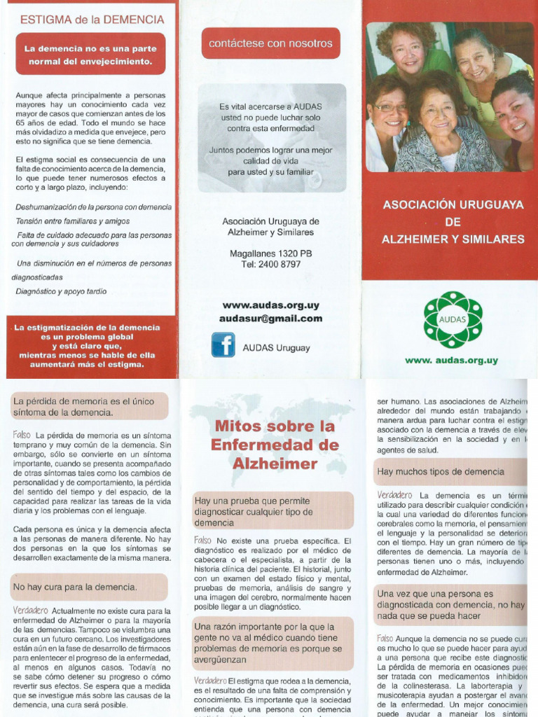 AUDAS Triptico Informacion | PDF