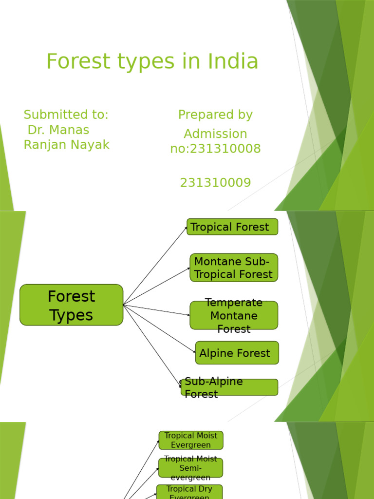 Forest Types in India: A Comprehensive Guide | PDF | Himalayas | Forests
