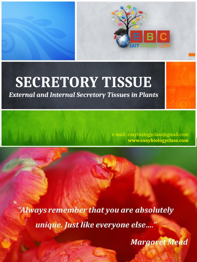 Secretory Tissue in Plants | PDF | Technology & Engineering