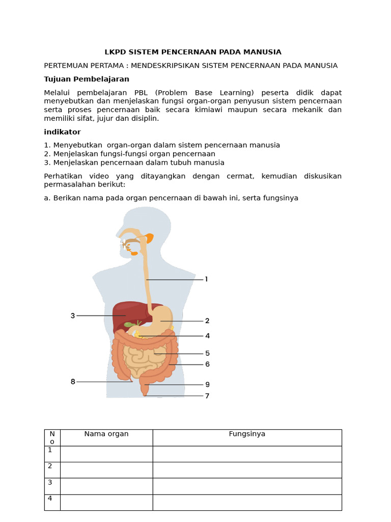 LKPD Sistem Pencernaan Pada Manusia | PDF