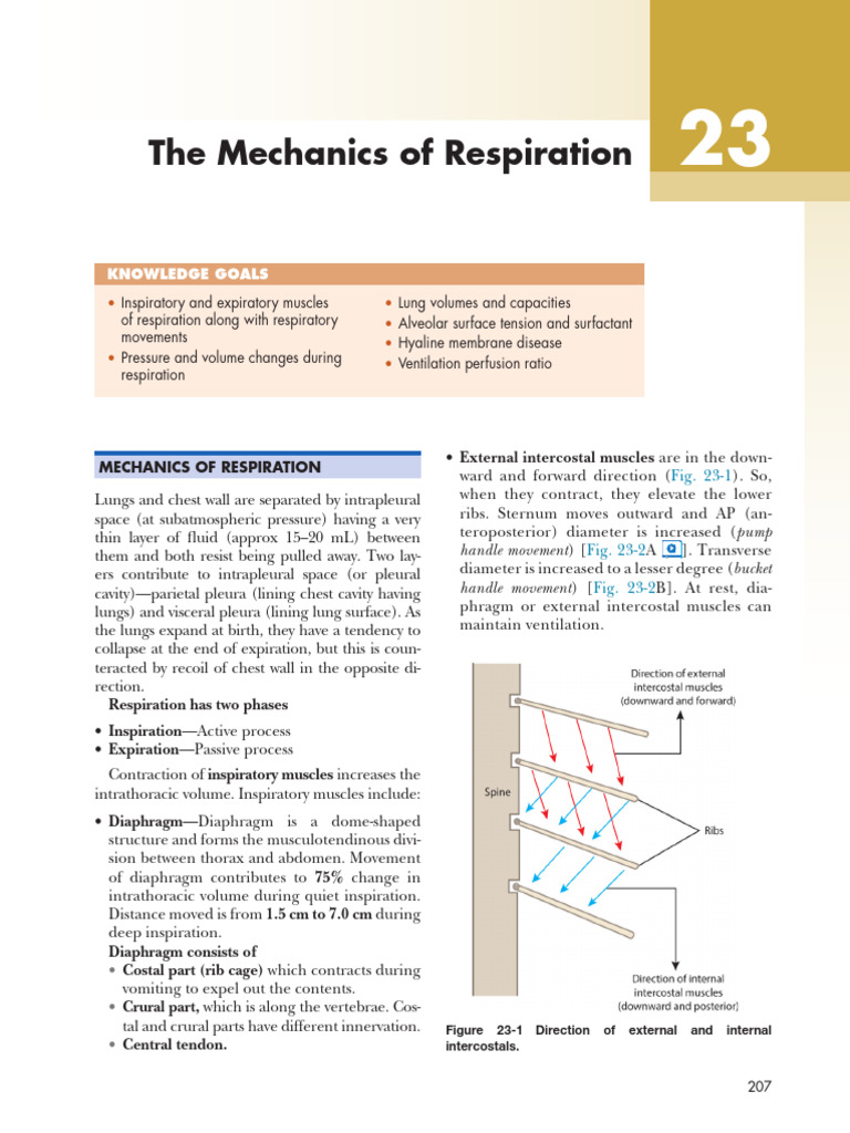 Fundamentals of Medical Physiology Harminder - Unlocked - Split - 46 ...