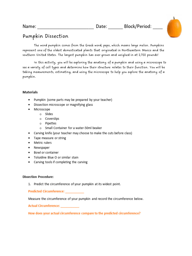 Pumpkin Dissection Activity Student | PDF | Flowers | Plants