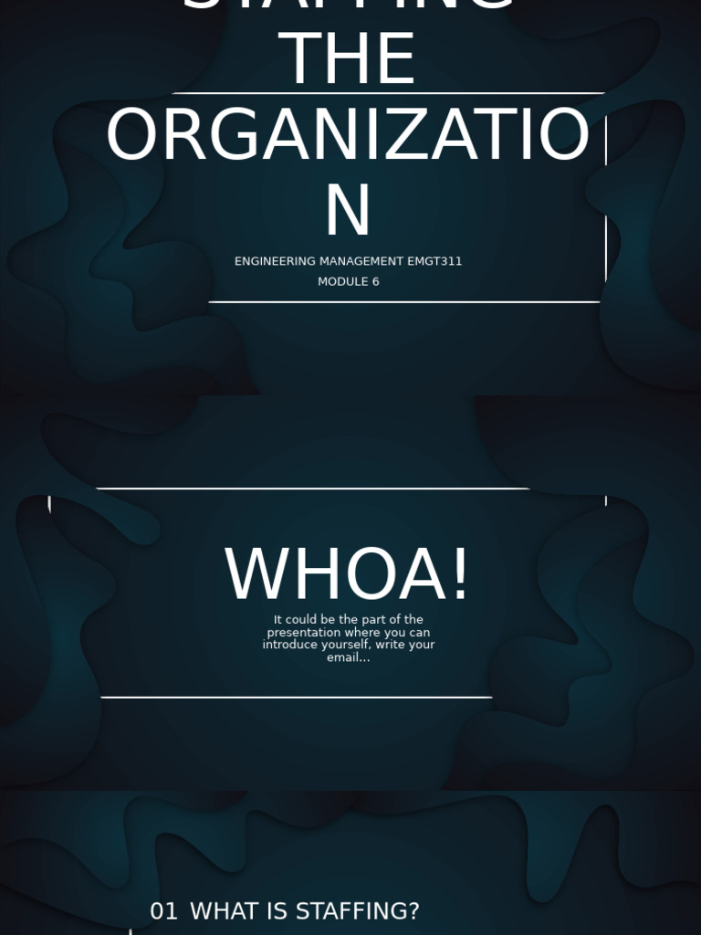Engineering Organization Staffing Guide | PDF | Performance Appraisal ...