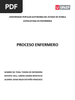 Modelos y Teorías de Enfermería - Lydia Hall | PDF | Enfermería | Medicina