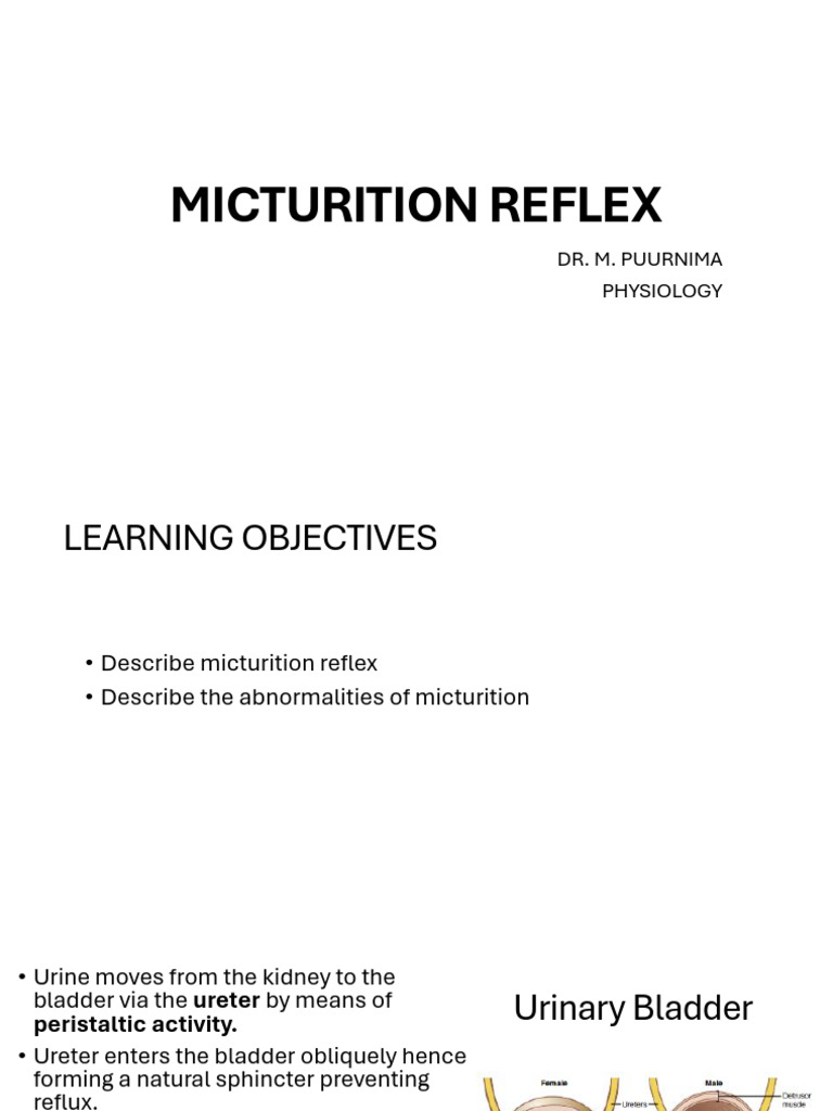Micturition Reflex, Renal Function Test, Dialysis, Diuretics | PDF ...