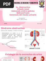 Obstrucción y Estasis Urinaria | PDF | Vejiga urinaria | Urología