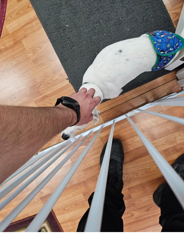 Single Imagepdf | PDF