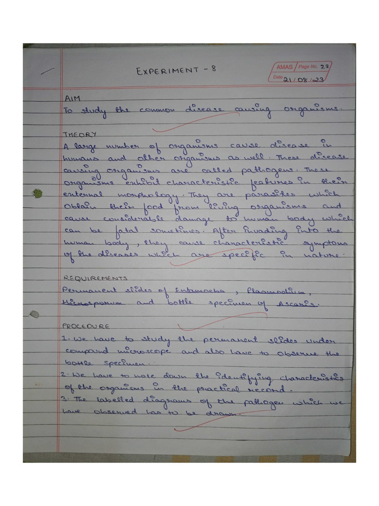 Bio Practical 2.9.24 | PDF