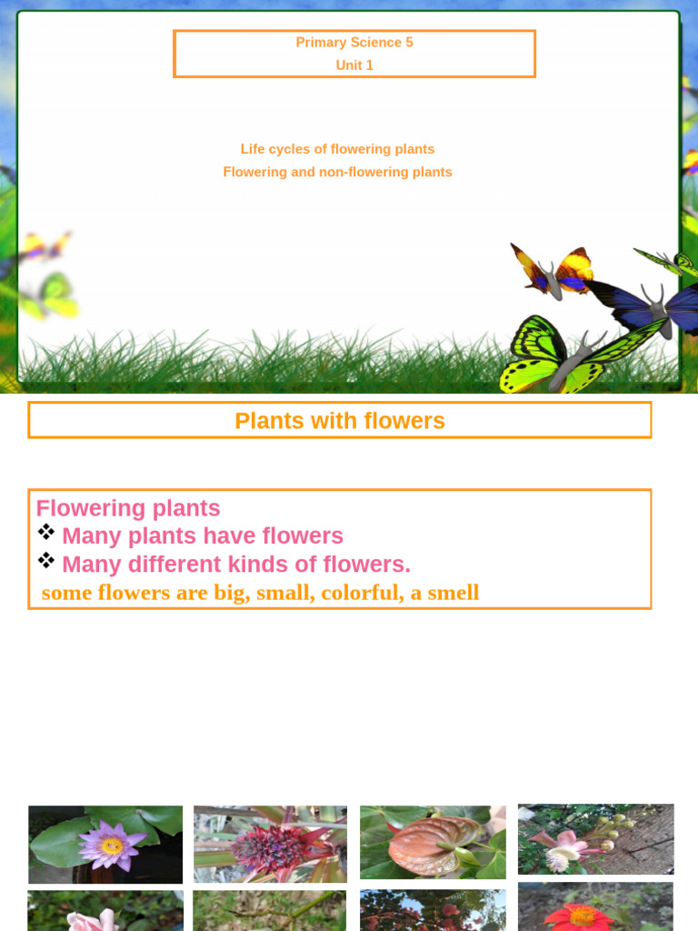 unit 1 all | PDF | Flowers | Seed