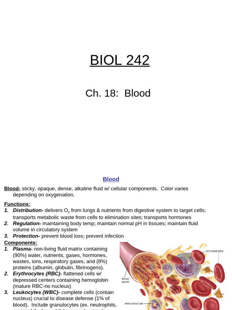 Ch. 18 - Blood | PDF | White Blood Cell | Red Blood Cell