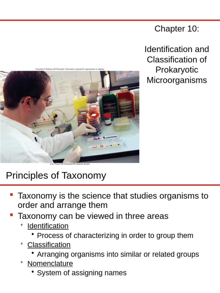 Chapter 10 Classification of Microorganisms-1 | PDF | Taxonomy (Biology ...