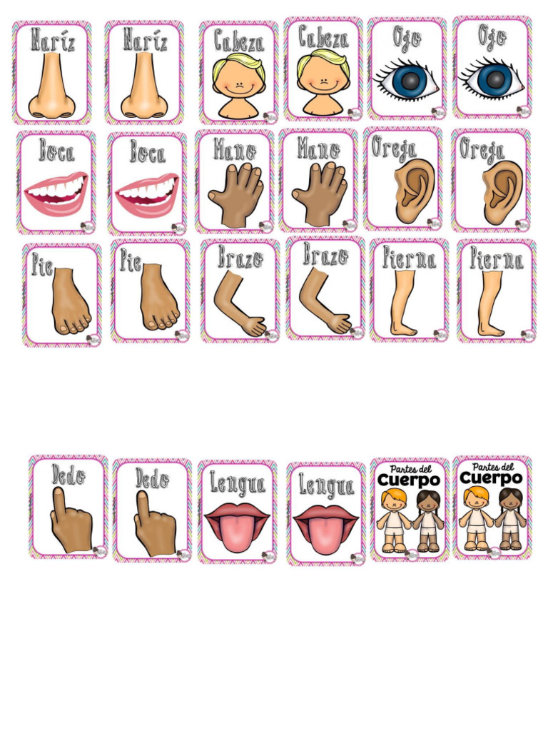 Memorama Partes Del Cuerpo | PDF