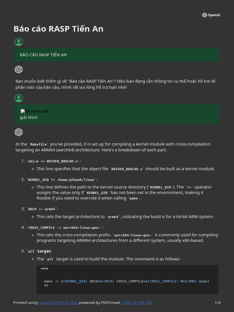 Báo cáo RASP Tiến An | PDF