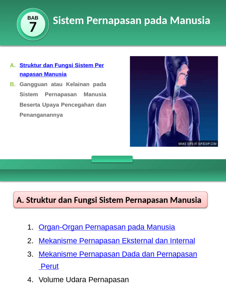 Bio - Sistem Pernapasan Pada Manusia | PDF