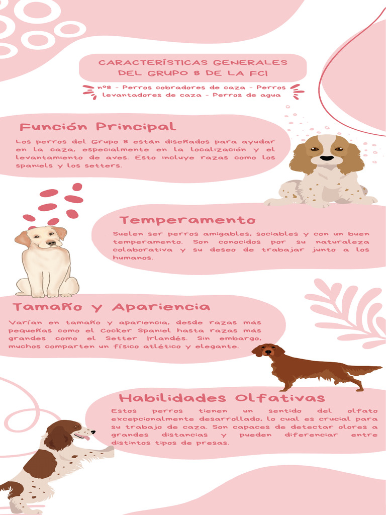 Características Generales del Grupo 8 de la FCI_20241114_054547_0000 | PDF | Caza | Cria de perros