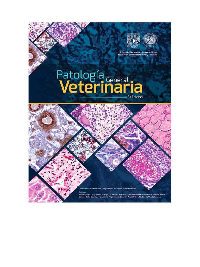 Caratula Libro | PDF