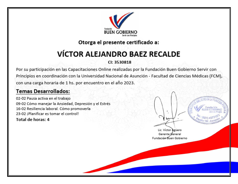 Victor Alejandro Baez Recalde | PDF | Negocios