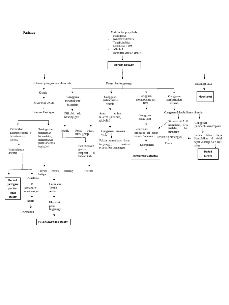 Pathway Sirosis Hepatis dan Komplikasinya | PDF