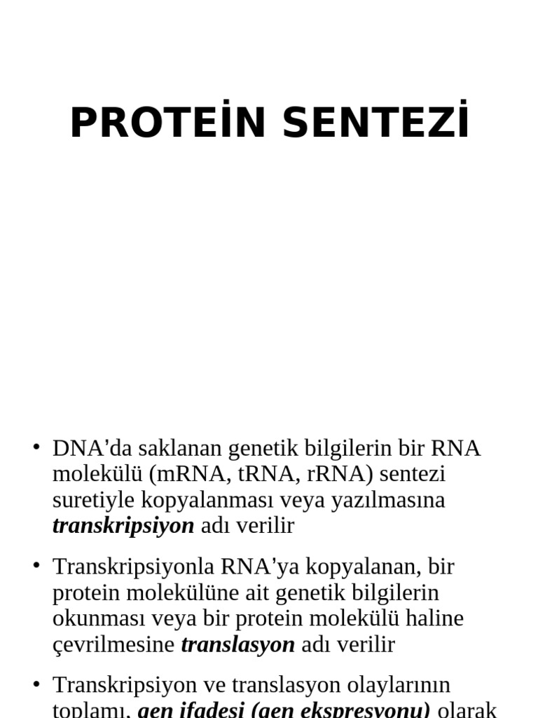 Protein Sentezi | PDF