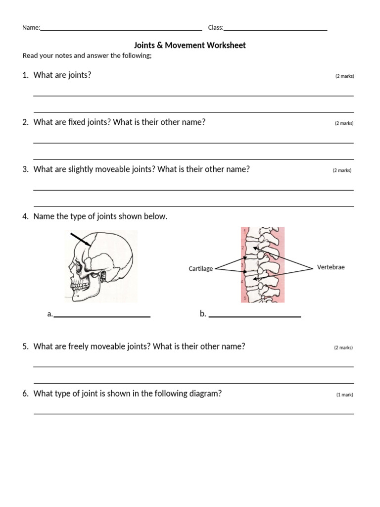 Anatomy Joints Study Guide | PDF | History