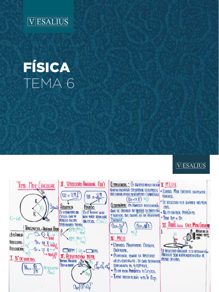 Fisica Tema 6 | PDF