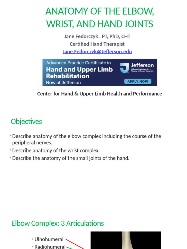 Elbow, Wrist, and Hand Joint Anatomy | PDF | Elbow | Anatomical Terms ...