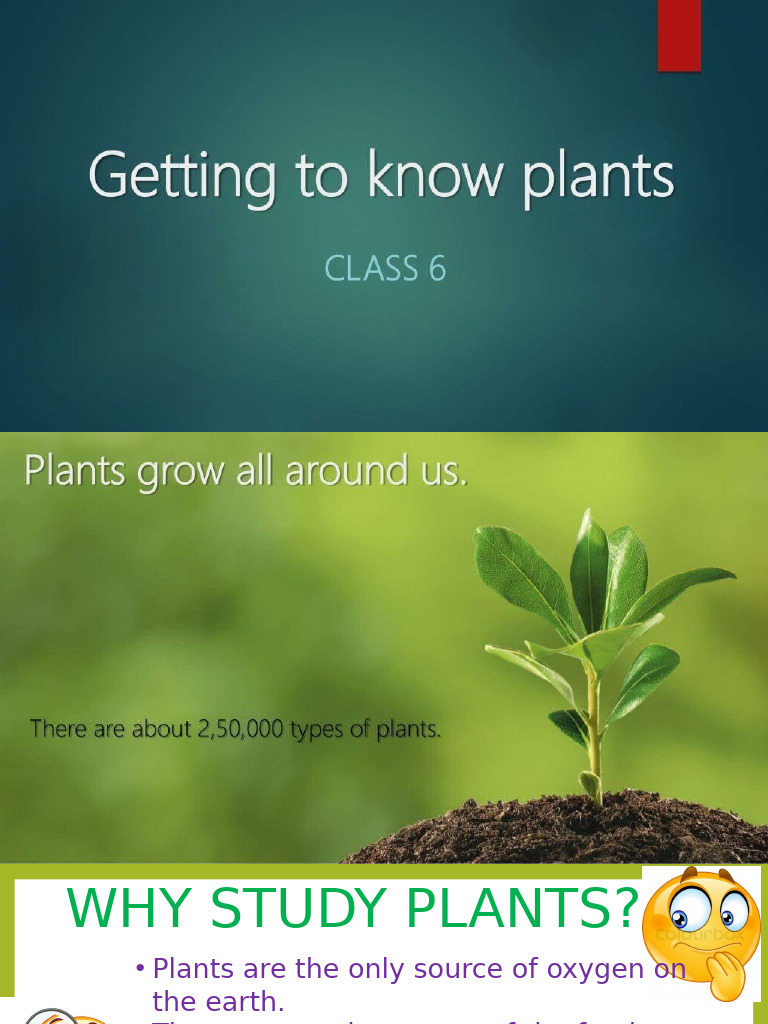 Getting to know plants_main | PDF