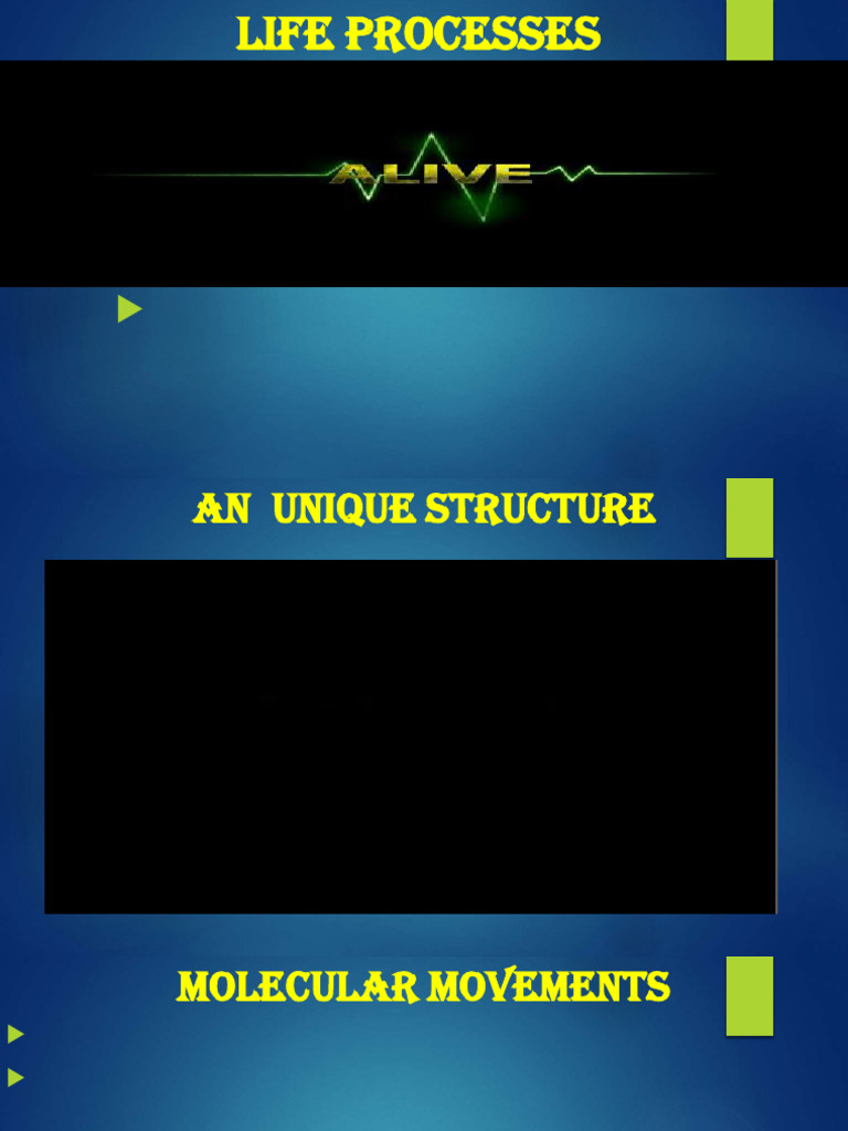 Life Processes[1][1] | PDF | Heart Valve | Respiratory Tract