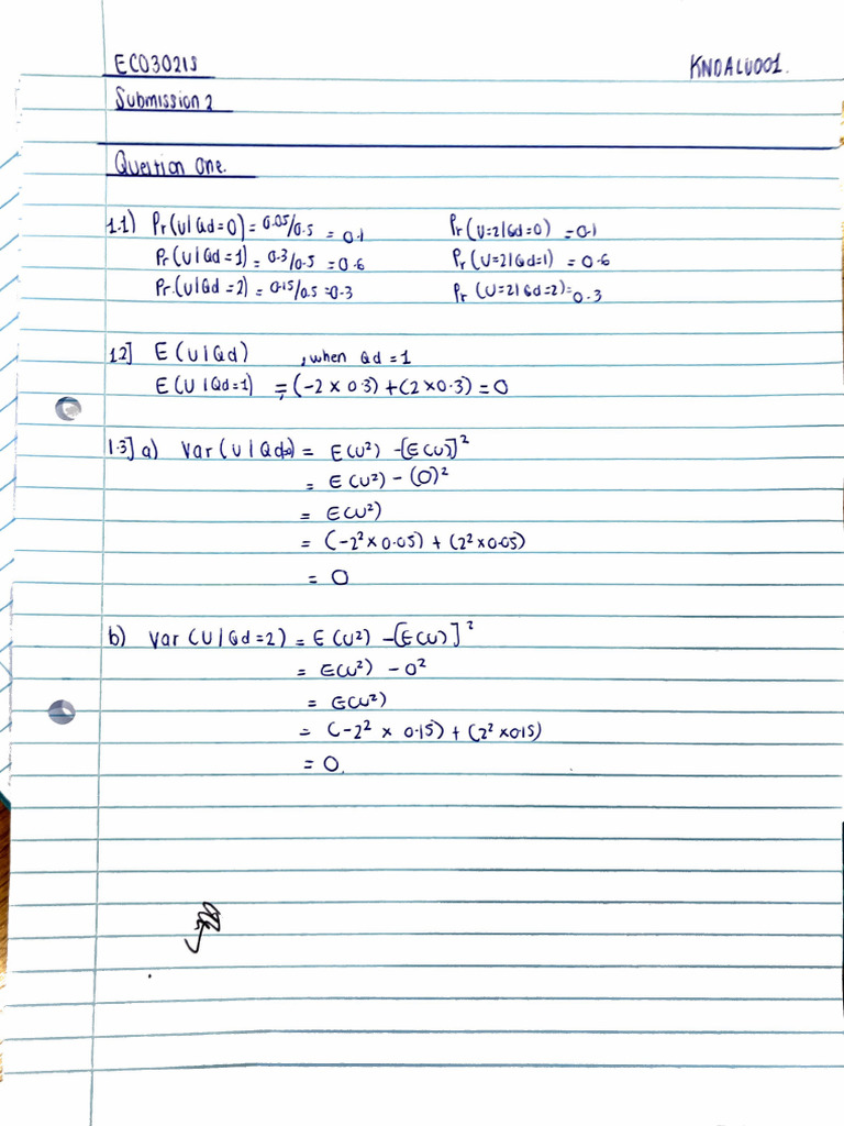 ECO3021S Submission | PDF