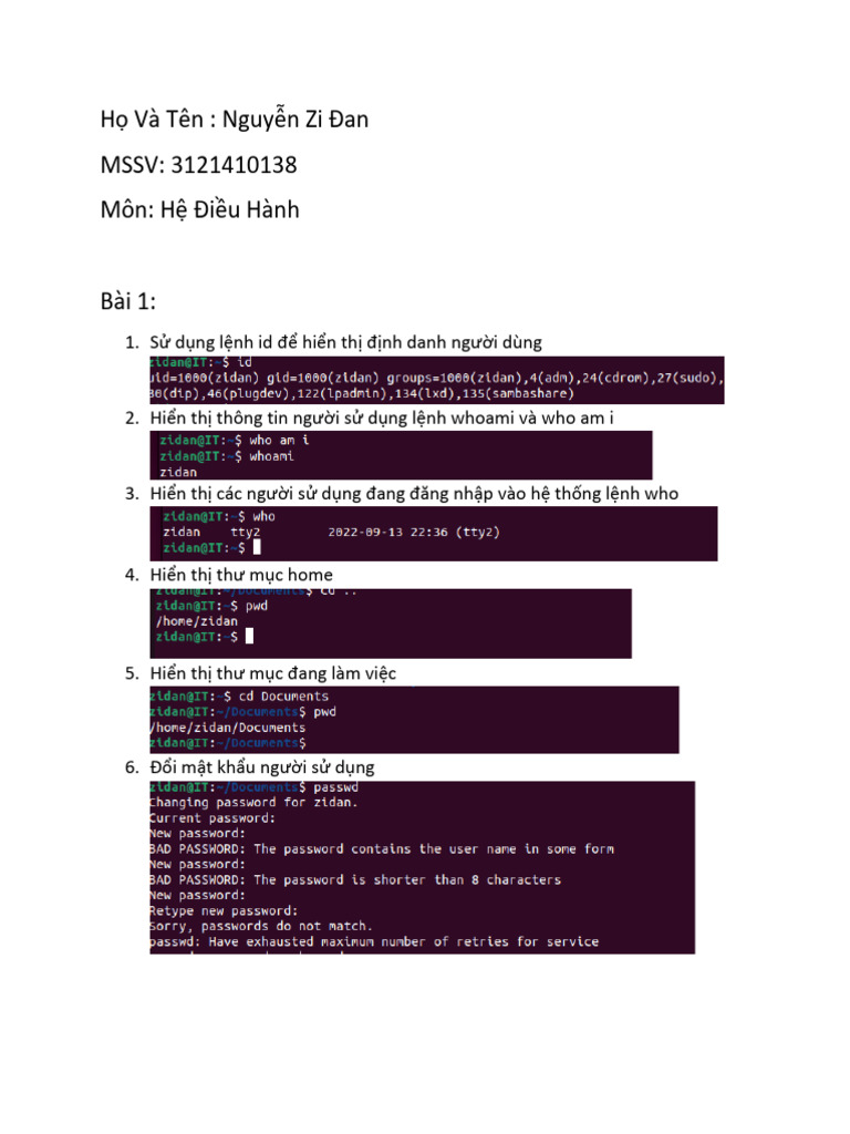 NguyenZiDan Tuan1 | PDF