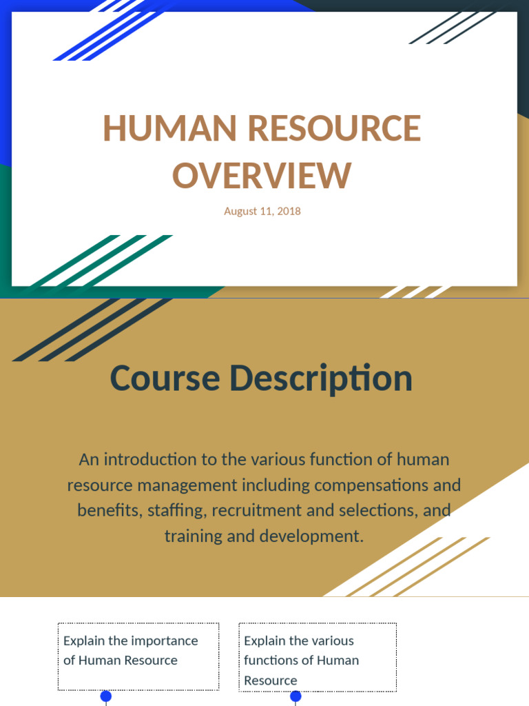 Human Resource Overview | PDF | Performance Appraisal | Human Resources